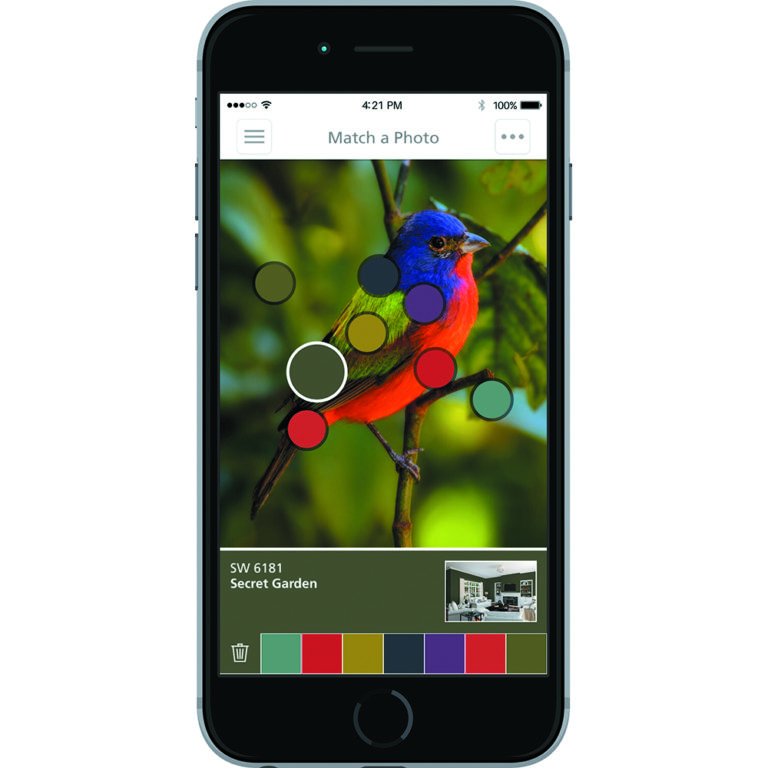 COLORSNAP MATCH FROM SHERWIN-WILLIAMS | The Blogging Painters